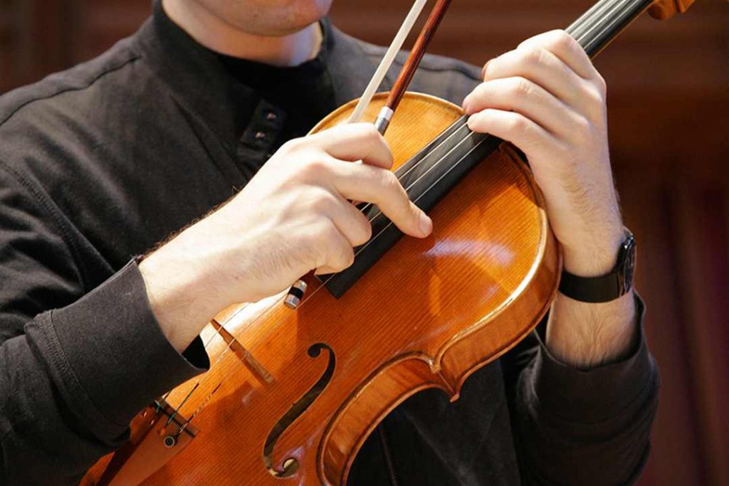 Phân biệt các loại đàn violin và dòng họ đàn violin cụ thể